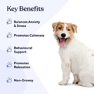Pawfy dogs Calming Soft Chews | Anxiety | Separation | Stress Relief | Travel | Behavioral Training | Fireworks & Other Stressful Events | with L-Tryptophan & Chamomile