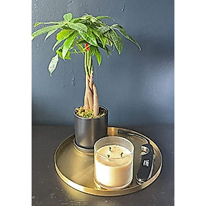 IVAILEX Gold Stainless Steel Round Jewelry and Make up Organiser/Candle Plate Decorative Tray (12.6 inches)