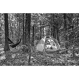 CATOMA Sable Speedome Tent, Grey, 2 Man