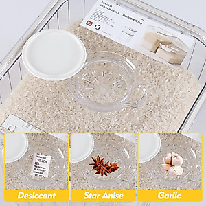 Ggbin 22 LBs Plastic Rice/Cereal/Grain Food Storage Container Bin with Measuring Scoop, Clear