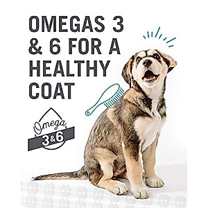 "I and love and you" Naked Essentials Dry Puppy Food - Natural Grain Free Kibble, Prebiotics & Probiotics, Chicken + Lentils, 4-Pound Bag