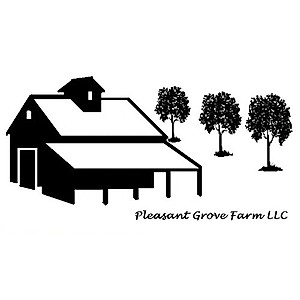 Pleasant Grove Farm 7 Mil Mylar Bags in Multiple Sizes (100, 2 QUART (8 x 12 inch))