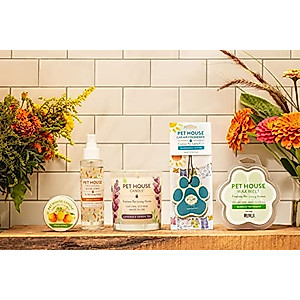 One Fur All, Pet House Candle - 100% Plant-Based Wax Candle - Pet Odor Eliminator for Home - Non-Toxic and Eco-Friendly Air Freshening Scented Candles - (Pack of 1, Elderberry Jam)