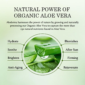 Aloderma Fresh Aloe Vera Face Hydrator Made with 99.8% Organic Aloe Vera within 12 Hours of Harvest - No Thickeners Great for Acne Prone & Sensitive Skin Repair, Scalp, & Hair 240ml