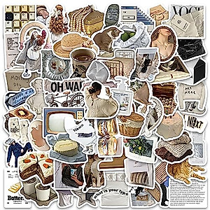 INS Aesthetic Stickers for Water Bottle, Waterproof Scrapbook INS Stickers, 63PCS Vinyl Stickers for Laptop Phone Skateboard Bumper Decals, Personalized Stickers Pack for Kids Teens Girls (INS)