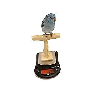 Mini NU Perch Parakeet Training Scale - Small Parrots & Parakeets