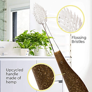 RADIUS Toothbrush Source Floss Brush BPA Free & ADA Accepted Improve Gum Health & Reduce Gum Issues - Super Soft - Wood - Pack of 1
