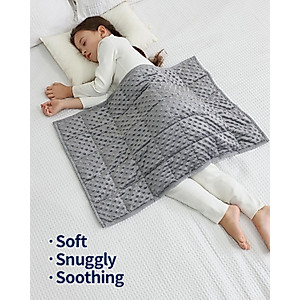 Mr. Sandman Weighted Lap Blanket 2LBS 20 x 30 Inches, Minky Dots Heavy Blanket with Glass Beads, Soft and Cooling for School and Home, Grey