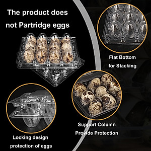 KUKLIPJIM 200 Pack Quail Egg Cartons, Clear Plastic Quail Egg Trays, Holds up to 12 Quail Eggs Securely - Your Ultimate Small Eggs Carton Holders for Bulk Storage and Display