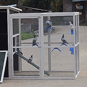 RP PIGEON Perches Dove Rest Stand Pigeons Rest Stand Bird Perches Durable Plastic Roost Racing Pigeon 5pc,blue