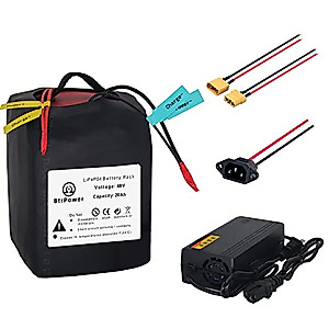 HAYAEnergy 48V 20Ah Ebike Battery LiFePo4 Battery Electric Scooter Battery with Fast Charger and 40A BMS for 250-2000W Motor on Ebike, Motorcycle and Electric Dirt Bikes