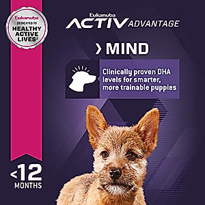 Eukanuba Puppy Small Breed Dry Dog Food, 4.5 Pound (Pack of 1)