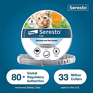 Seresto Small Dog for Dogs Under 18 lbs. & Seresto for Cats Vet-Recommended Flea & Tick Treatment & Prevention Collars | 8 Months Protection Each