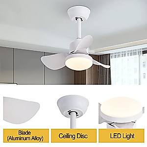 EMIKIRII Ceiling Fan with Lights and Remote,21'' Small Modern Ceiling Fan,Smart APP Control,Dimmable Metal Blades Flush Mount Quiet Mini Ceiling Fans Lights for Kitchen Dining Room Bedroom
