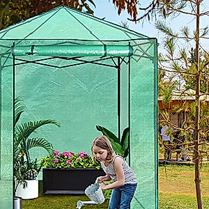 PexFix 6'x 5' Portable Walk-in Greenhouse Easy Setup,Indoor Outdoor Greenhouse Garden Green Houses Instant Pop-up Greenhouse,2 Roll-Up Mesh Windows and Roll-up Zipper Door,Green