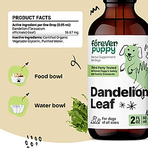 Dandelion Leaf Tincture for Dogs - Kidney Supplements for Dogs of All Breeds & Sizes - Dandelion Drops for Dogs - Herbal Dog Kidney Supplement - Vegan Kidney and Bladder Support Vitamins - 2 oz