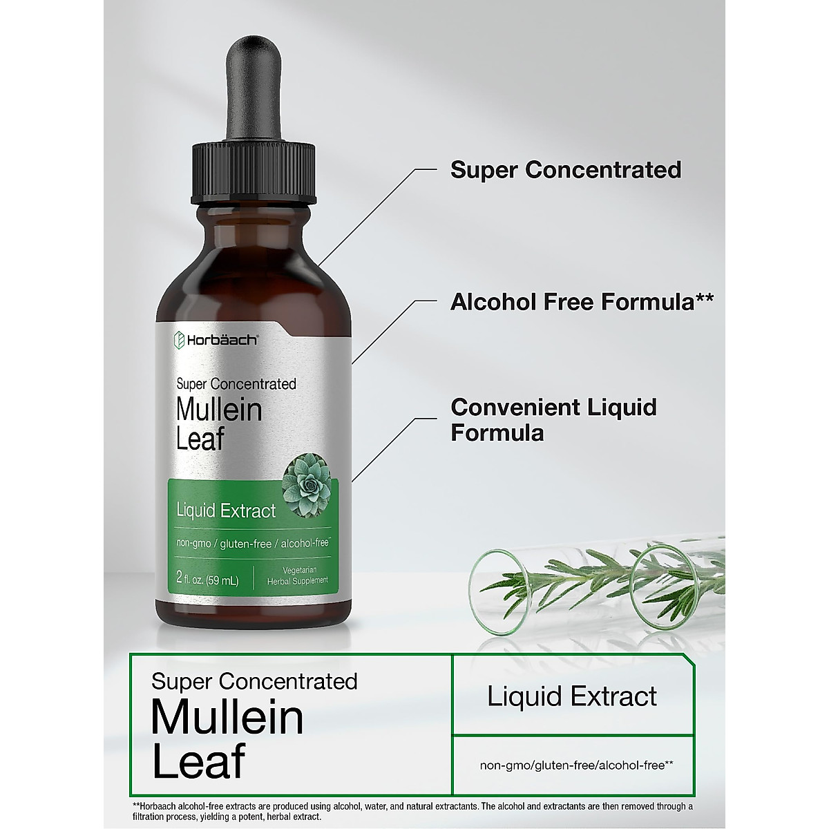 Horbäach Mullein Leaf Tincture Drops | 2 fl oz | Alcohol Free Liquid Extract | Vegetarian, Non-GMO & Gluten Free Herbal Supplement