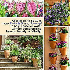 Retain by Rain Soil – 22 Oz – Water Holding Polymer Crystals Soil Additive – Store Up to 7 Gallons of Water for House & Garden Plants, Hanging Baskets – Reduce Watering Frequency