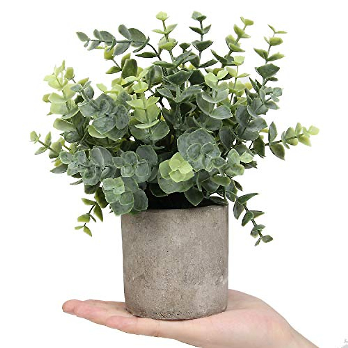 Flojery Mini Potted Plants Artificial Eucalyptus Boxwood Rosemary Faux Herbs Small House Plants 8.3"-9" Tall for Indoor Greenery Tabletop Décor Centerpiece (Sprayed Eucalyptus)