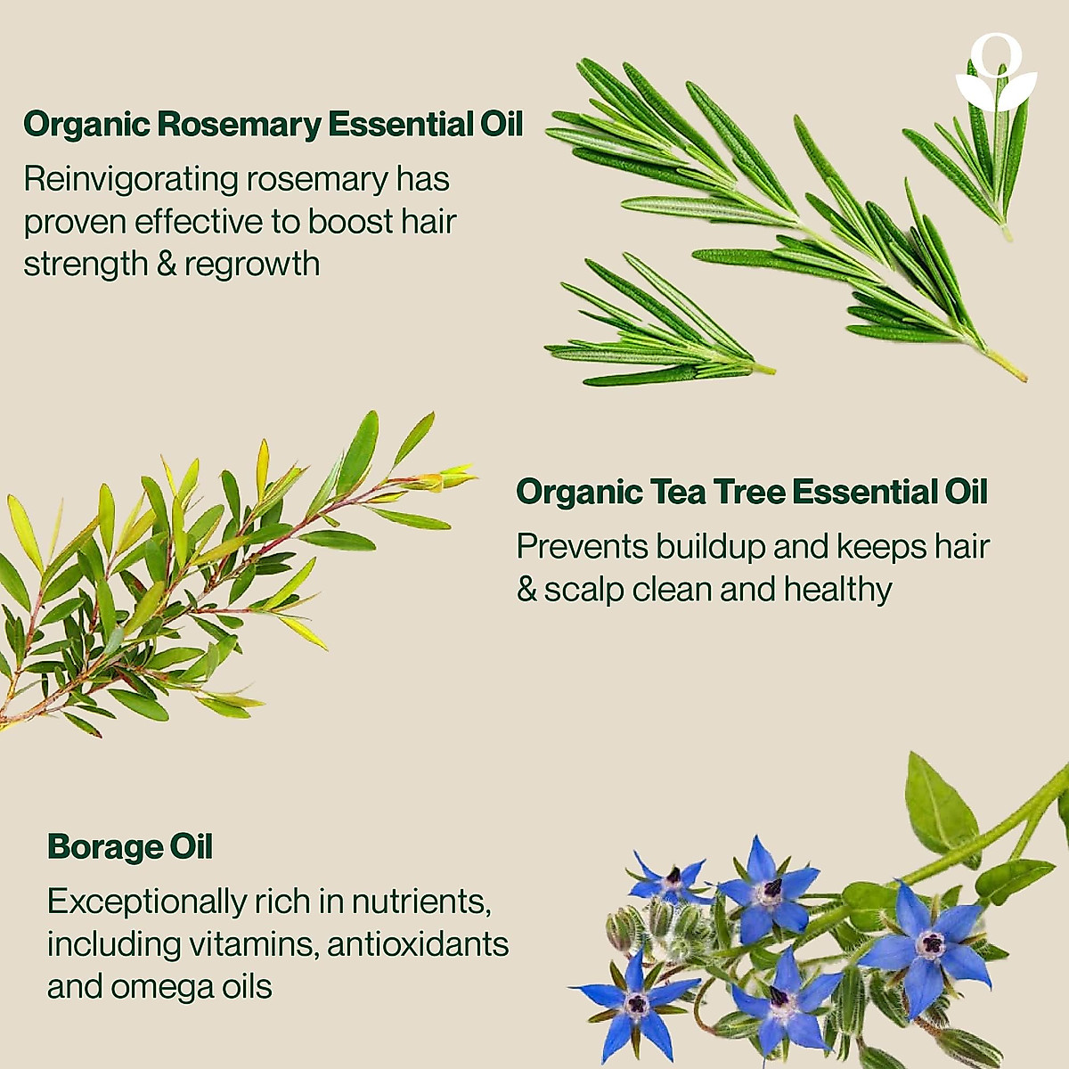 Balmonds Hair, Scalp & Beard Oil 1.7 Oz with Rosemary, Hemp & Tea Tree - Natural Conditioning Treatment for Dry, Itchy Scalps - Nourishes & Moisturizes