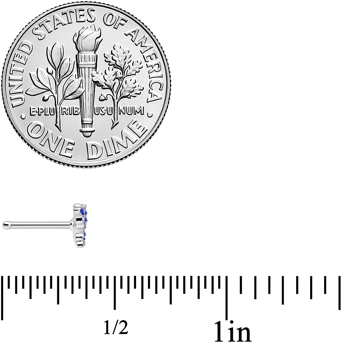 Body Candy Womens 20G Steel Nose Ring Blue Butterfly Nose Stud Nose Bone Body Piercing Jewelry 1/4"