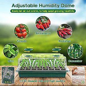 BlumWay Seed Starter Tray with Grow Light,2 Pack 80 Cells Seedling Tray Kit with Humidity Dome/Indoor Plant Starter Kit, Adjustable Brightness Plant Germination Trays