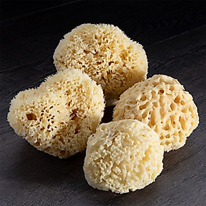 Neptune Natural Sea Wool Sponge - All Natural Honeycomb Renewable Sea Sponge, Medium, Approx. 4 Inches