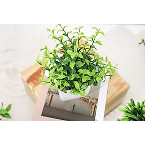 Der Rose 6 Pack Fake Plants Mini Artificial Plants for Home Office Farmhouse Bathroom Shelf Decor Indoor