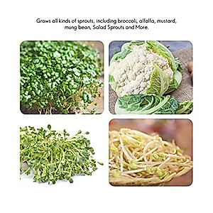 KRAZI 4 Pack Sprouting Lids, Plastic Sprout Lids with Stainless Steel Screen for Wide Mouth Mason Jars, Sprouter Sprout Maker