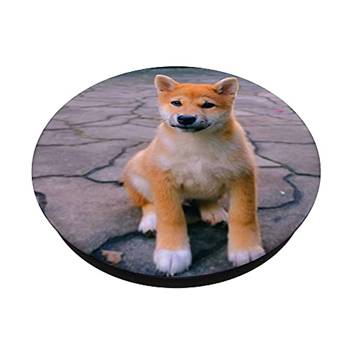 Shiba Inu Dog Lover PopSockets Swappable PopGrip