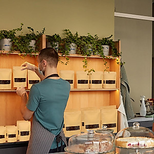 Blisstime 50 Pack Kraft Stand Up Zip Lock Pouch Bags, Resealable Bag with Transparent Window and Tear Notch for Multipurpose Storage (4 X 6 Inches)