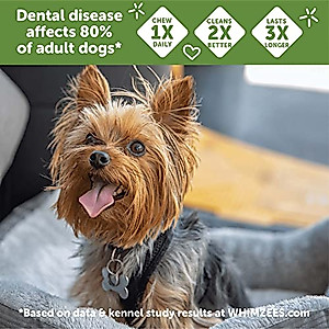 WHIMZEES by Wellness Brushing Dental Chews For Dogs, Grain-Free, Long Lasting Treats, Freshens Breath Extra Small Breed, 48 Count