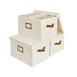 StorageWorks Underbed Storage Box and 32L Decorative Storage Bins