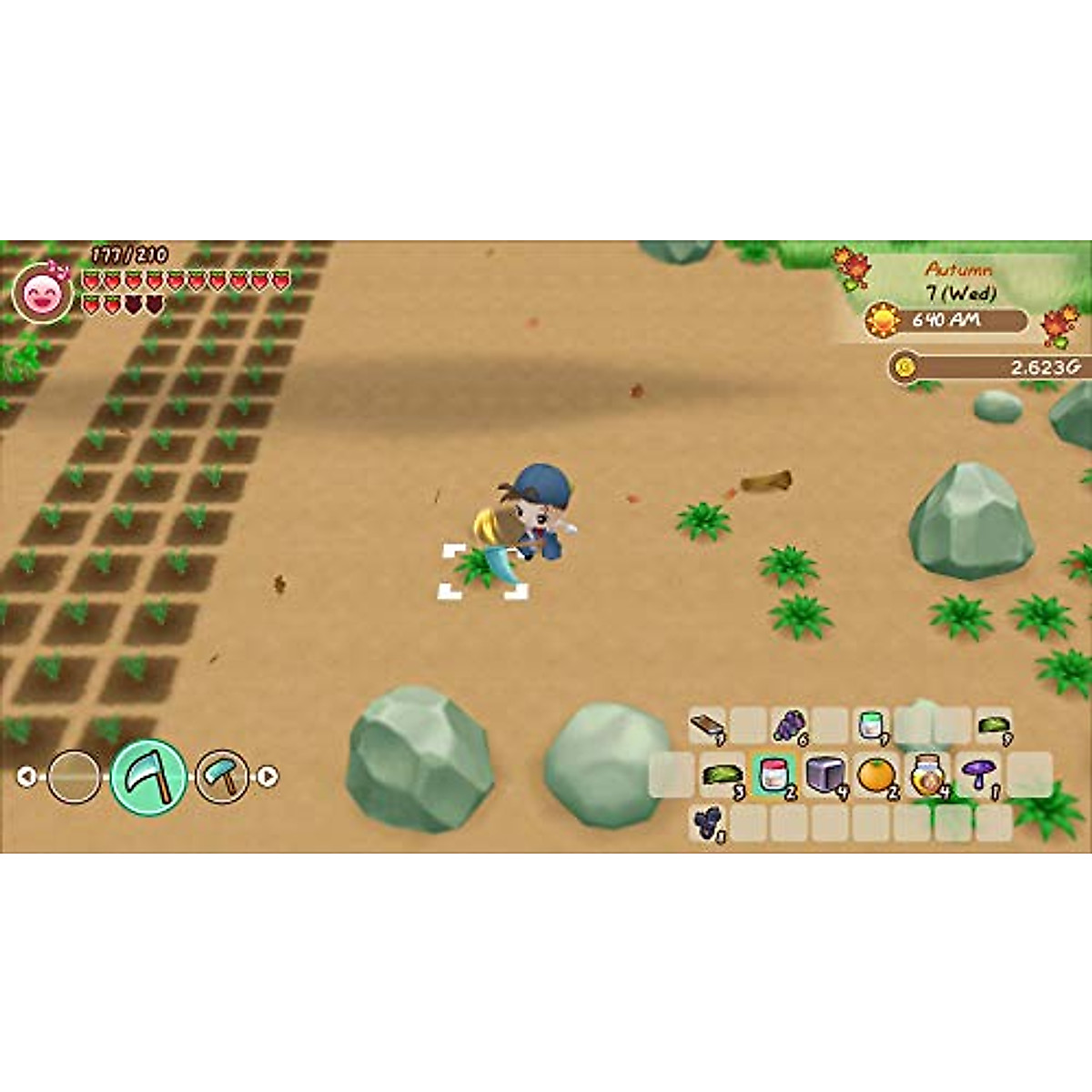 Story of Seasons: Friends of Mineral Town - Nintendo Switch