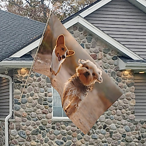 Custom Flag 3x5 Ft Customized Flags Banners - Personalize Print Your Own Logo/Design/Words/Text - Vivid Color, Canvas Header and Double Stitched - Brass Grommets - Single Sided