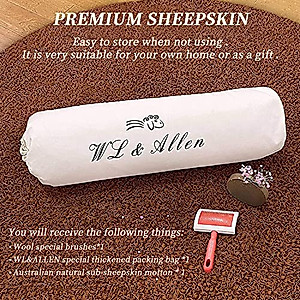 WL&ALLEN Large Sheepskin Rug Genuine Thick and Lush 3 Inch Pile，Luxury Australian Pelts |Large Sheepskin Wool Area Rugs (Large Single Pelt 2'6" x 3'7"，Light Brown)…