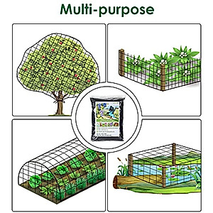 OGORI 25' x 50' Bird Netting Heavy Duty Nylon 3/4" Mesh Garden Netting Protect Fruit Trees, Plants and Vegetables