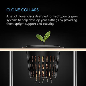 AC Infinity Clone Collar 3-Inch, Cloner Inserts with 8-Spoke Design, 50-Pack for Use with Net Cups in Hydroponics Growing Systems, Aeroponics, Cloning Machines, and Home Gardening