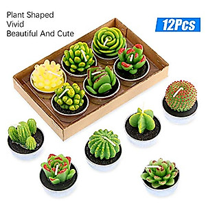 Glarks 12Pcs Unique Designs Cactus Tealight Candles Set, Handmade Delicate Succulent Cactus Artificial Succulents Tealight Candles Perfect for Birthday Party Valentine's Day Wedding Spa Home Decor
