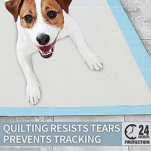 IMMCUTE Puppy Pee Pads 22"x23"-100 Count | Dog Pee Training Pads Super Absorbent & Leak-Proof | Disposable Pet Piddle and Potty Pads for Puppies | Dogs | Doggie| Cats | Rabbits