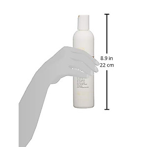 milk_shake Curl Passion Conditioner, 10.1 Fl Oz