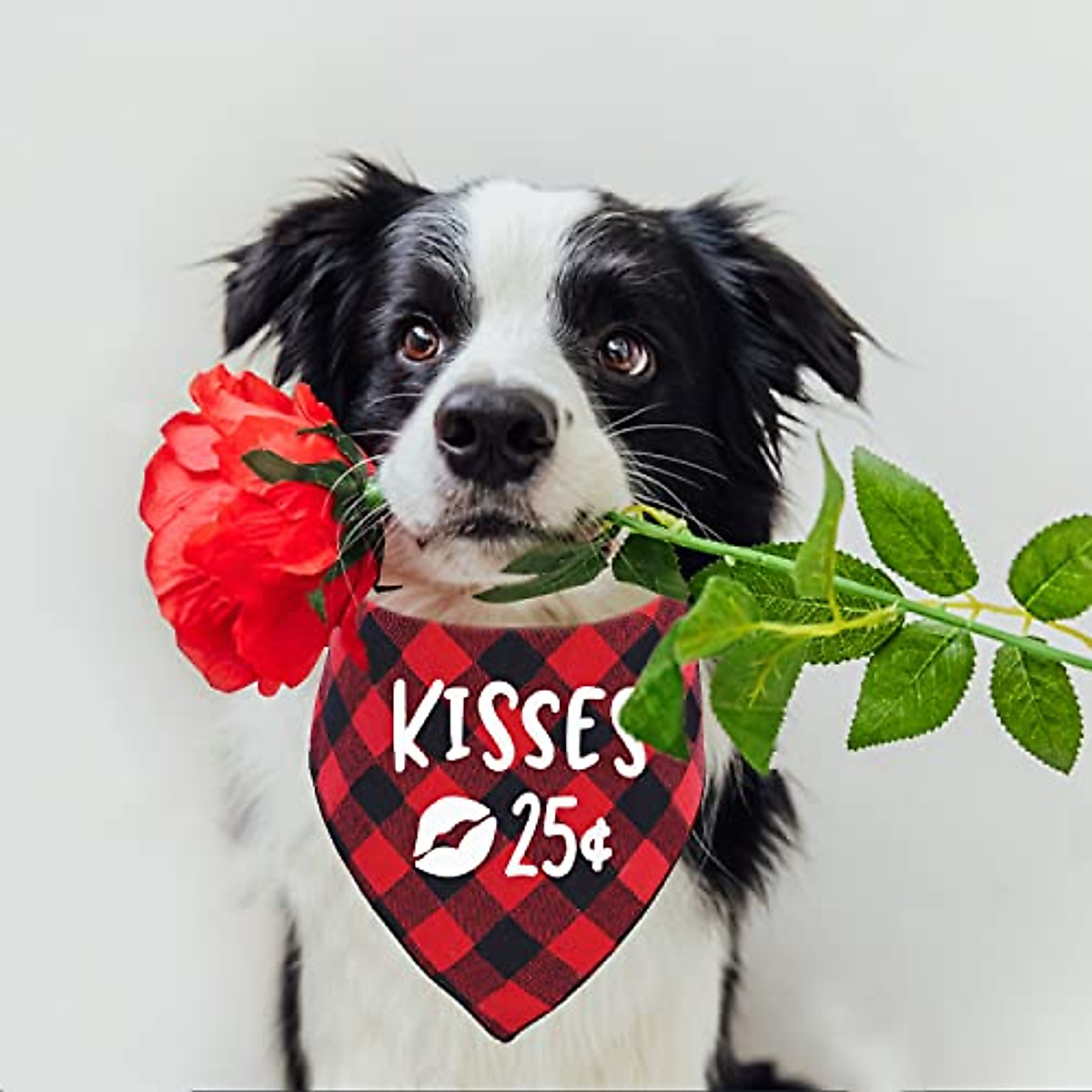 Valentine Holiday Dog Bandana, Cat Red Buffalo Bandana for Large Medium Small Pets Puppies (Large)