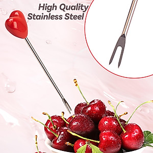 Set of 10 Stainless Steel Fruit forks and 1 Love Holder, Fruit Forks Dessert Forks Salad Forks Food Picks