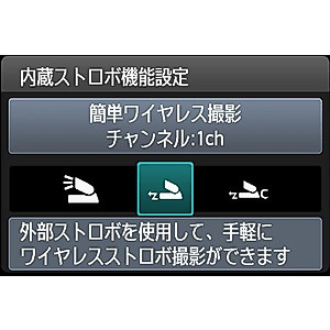 Canon EOS Kiss X5 Digital SLR Camera 2 Lens Kit - International Version (No Warranty)