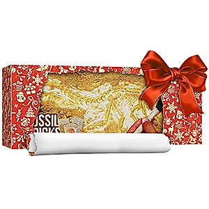 Dig a Dozen Fossil Bricks - Break Open 12 Bricks and Discover 12 Unique Real Fossils - Archaeology Science STEM Gift