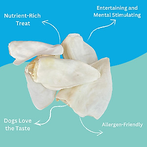 Brazilian Pet 100% Natural - Over 5 inches- Real Cow Ears Prime Dog Chews, Free Range Grass Fed Cattle (100 Count)