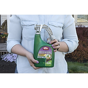 Ortho Weed B Gon Chickweed, Clover & Oxalis Killer for Lawns, 32 Oz.