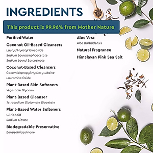 Puracy Natural Dish Soap - Skin-Softening Plant-Based Dishwashing Soap, Non-Toxic Dish Soap, Organic Liquid Dishwashing Detergent Soap (Green Tea & Lime, 16 fl oz)