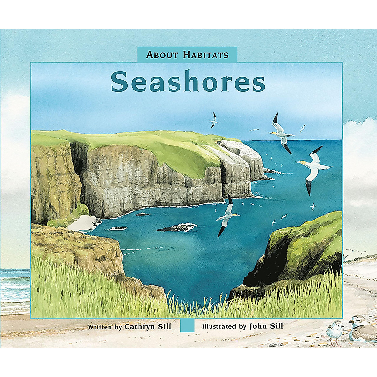 About Habitats: Seashores