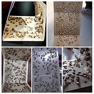 Moth Traps for Pantry Moths, 16 Pack Kitchen Moth Traps with Pheromones Prime, Non-Toxic Easy Setup Sticky Glue Trap for Food and Cupboard Moths in Your Kitchen (Organic)